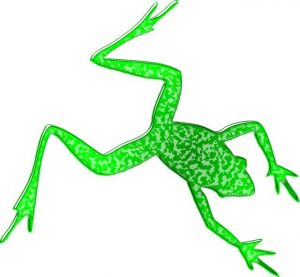 How to Draw a Frog - Drawing Blog